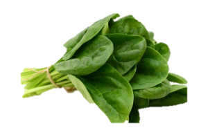 L’épinard - Fiche légume, valeurs nutritionnelles, calories, santé