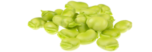 La fève - Fiche légume, valeurs nutritionnelles, calories, santé
