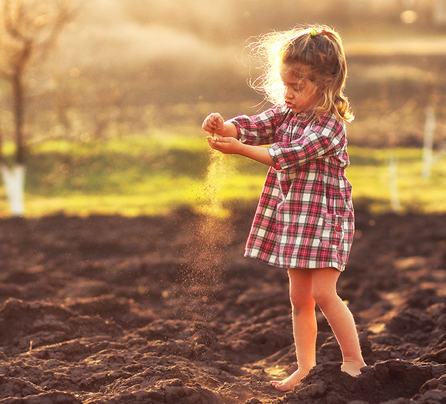 Fondation Louis Bonduelle - Bienfait des légumes, nutrition et santé