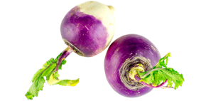 Le navet | Fondation Louis Bonduelle