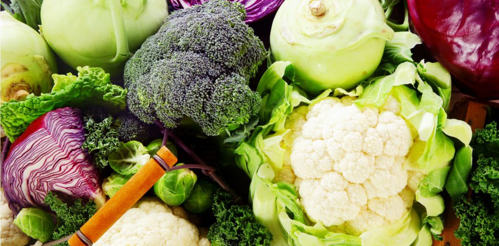 Il rafano (o barbaforte, o cren)| Louis Bonduelle Foundation