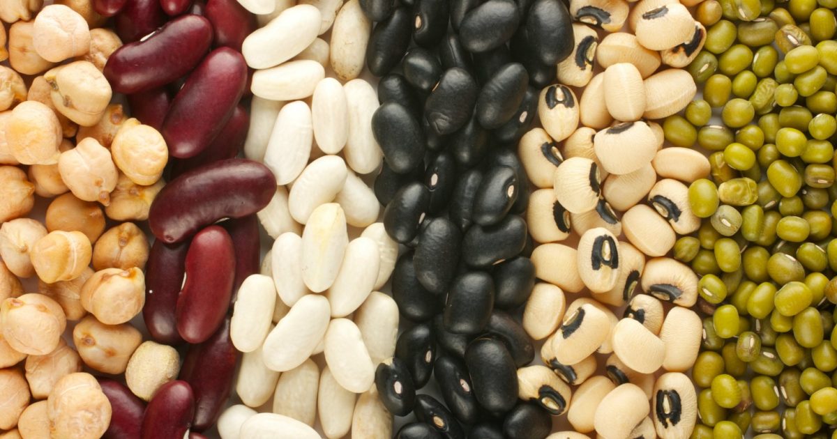 2016: année internationale des légumes secs - Protéines végétales