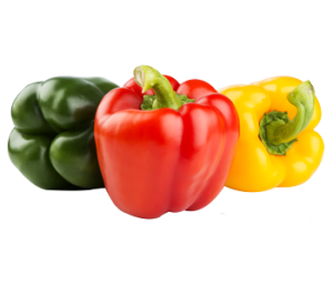 Le poivron - Fiche légume, valeurs nutritionnelles, calories