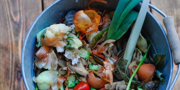 The link between food waste and a balanced diet | Louis Bonduelle ...