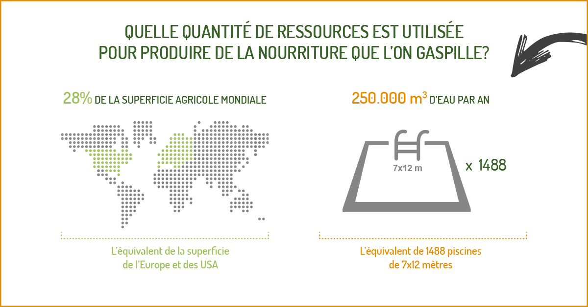 All you need to know about food waste | Louis Bonduelle Foundation