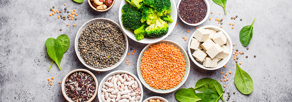 L’alimentation végétale au cœur de notre mission - Fondation Louis ...