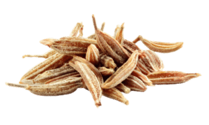 Cumin: origins, varieties, health benefits |Bonduelle Foundation