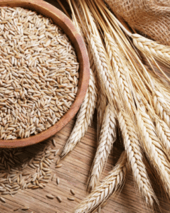 Le seigle : origine, variétés et effets santé | Fondation Bonduelle